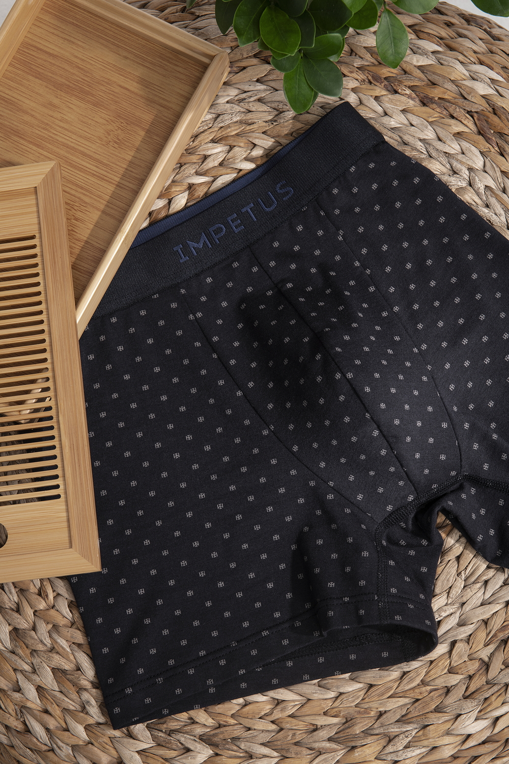 IMPETUS MEN – Intima media group